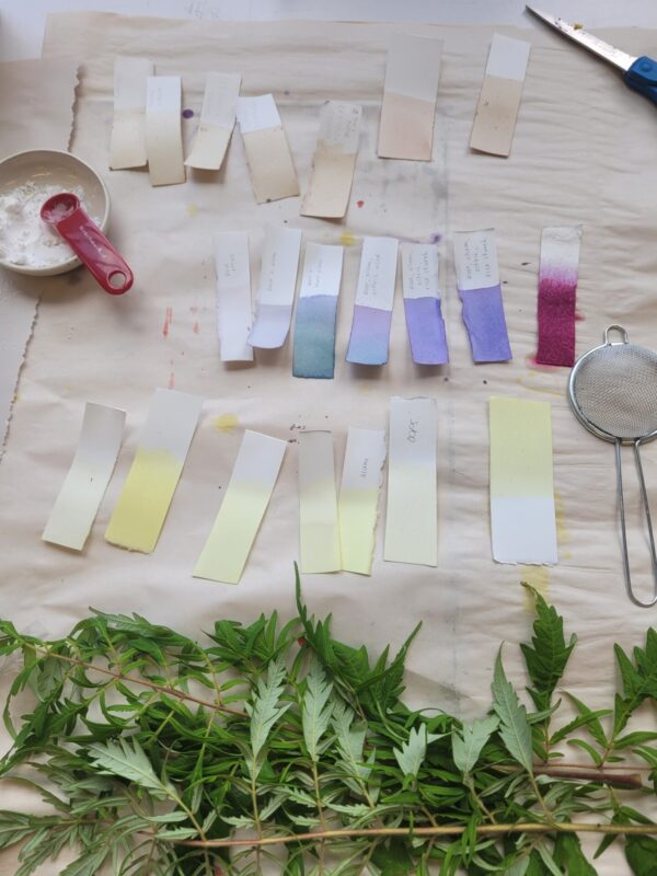 Workshop : Making plant-based ink for screen printing with Edward Fu ...